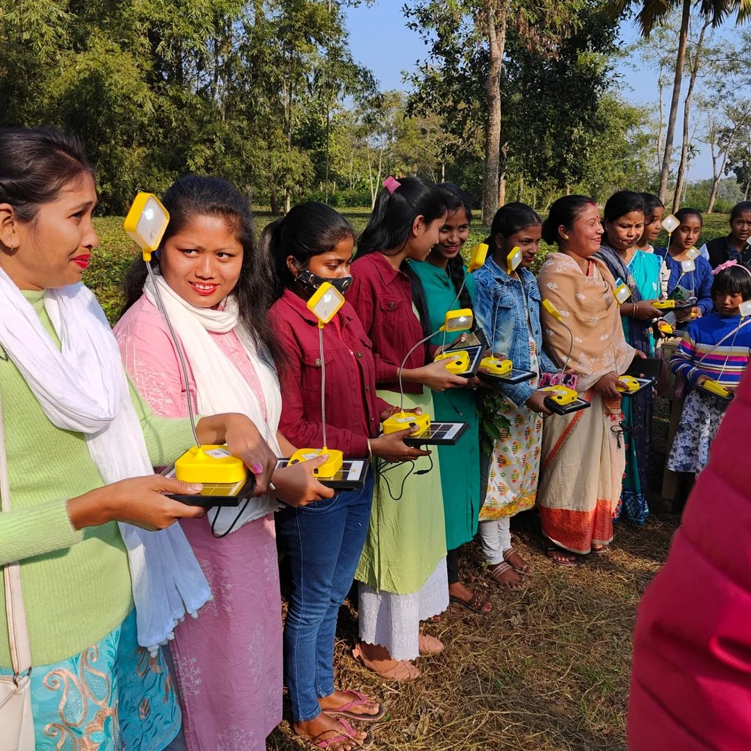 World's First Bagless Tea Dip | Now In USA – US.WOOLAH